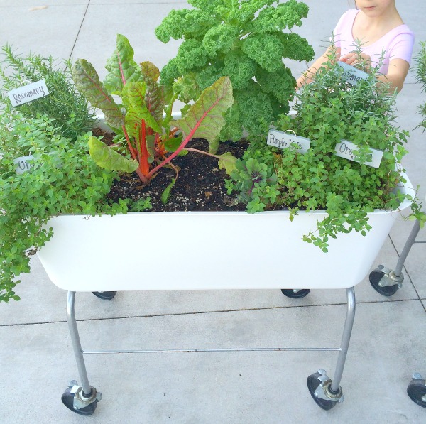 Unique Planters that Ship Free!