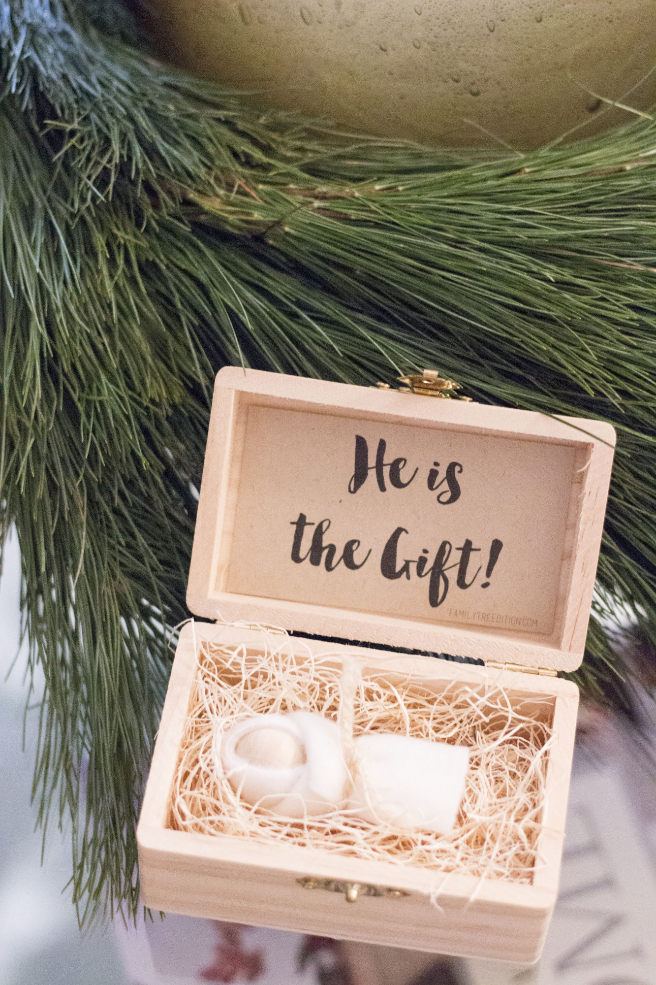Give the Gift of Tradition with Family Treedition!