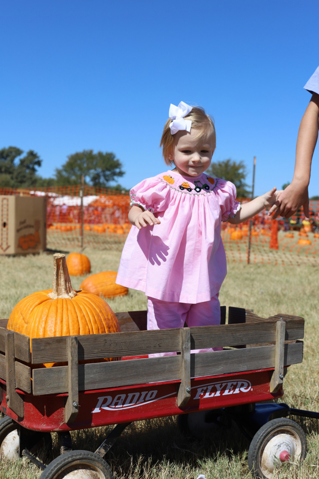 Simple Fall Traditions for Families