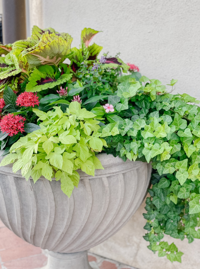 6 Tips for Beautiful Potted Containers | Do Say Give